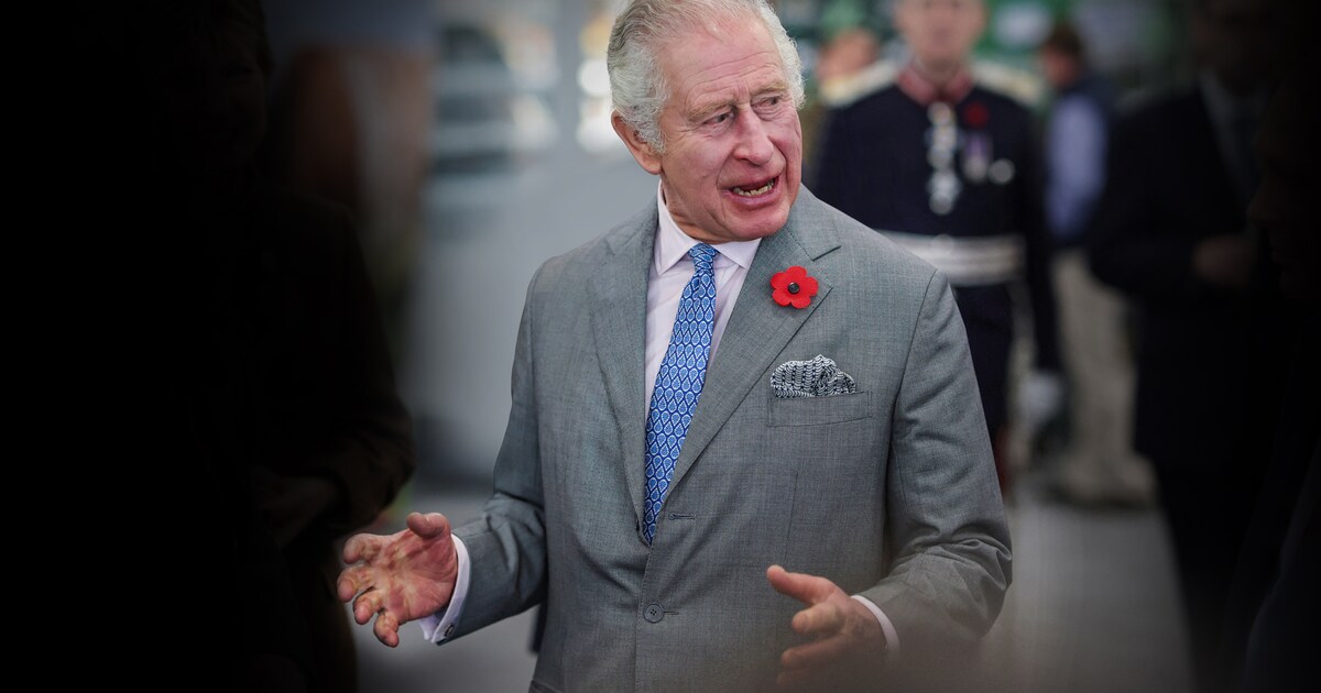 Kan charmante Camilla gehekelde Charles redden?