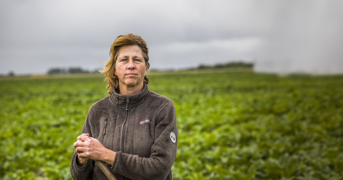 Bertie Steur overweegt cosmetische ingreep